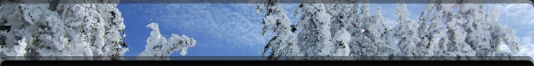 Telerik Web Ui Calendar Special Days And Templates Demo Telerik Ui For Aspnet Ajax